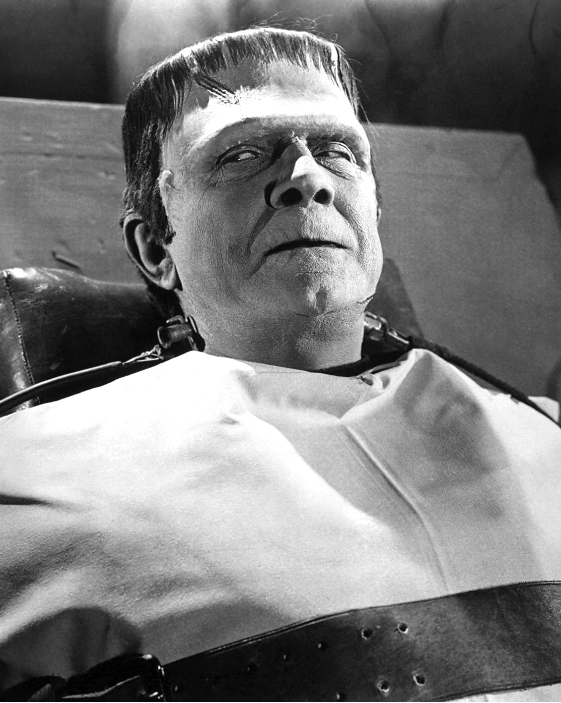 Dead Man's Brain: Frankenstein on Film - Universal (Part 2 of 2)