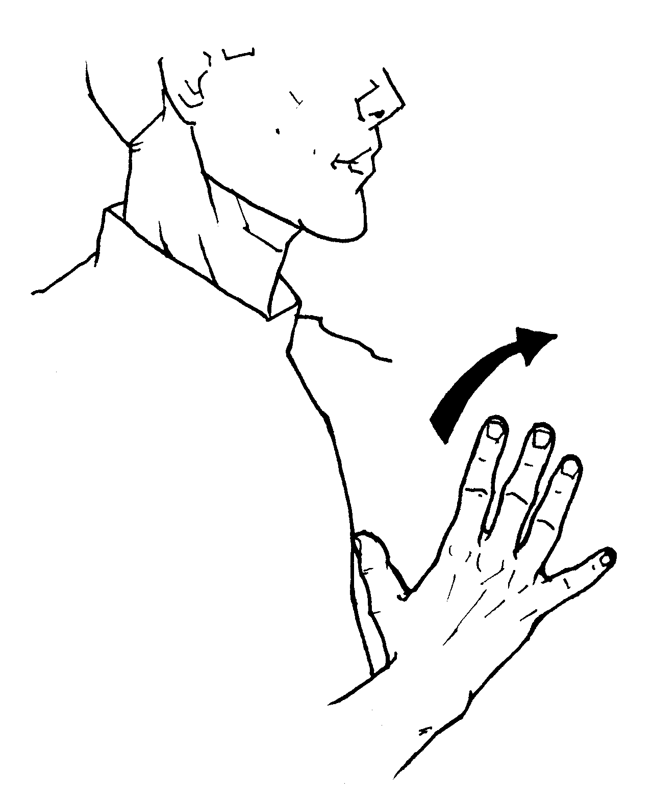 Thirteen Stripes and Fifty Stars: American Sign Language II