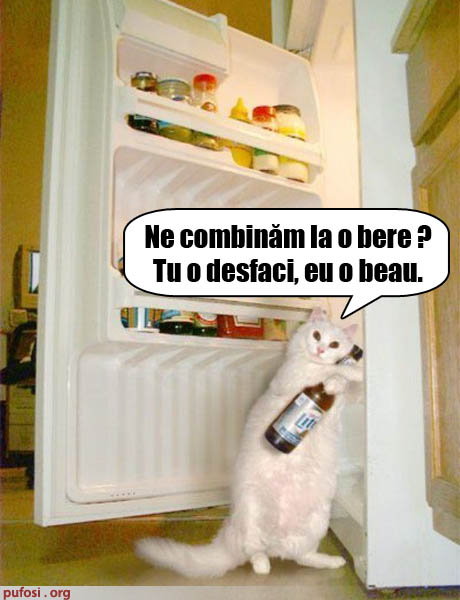 Bancuri cu Bula: Imagini Amuzante Cu Animale