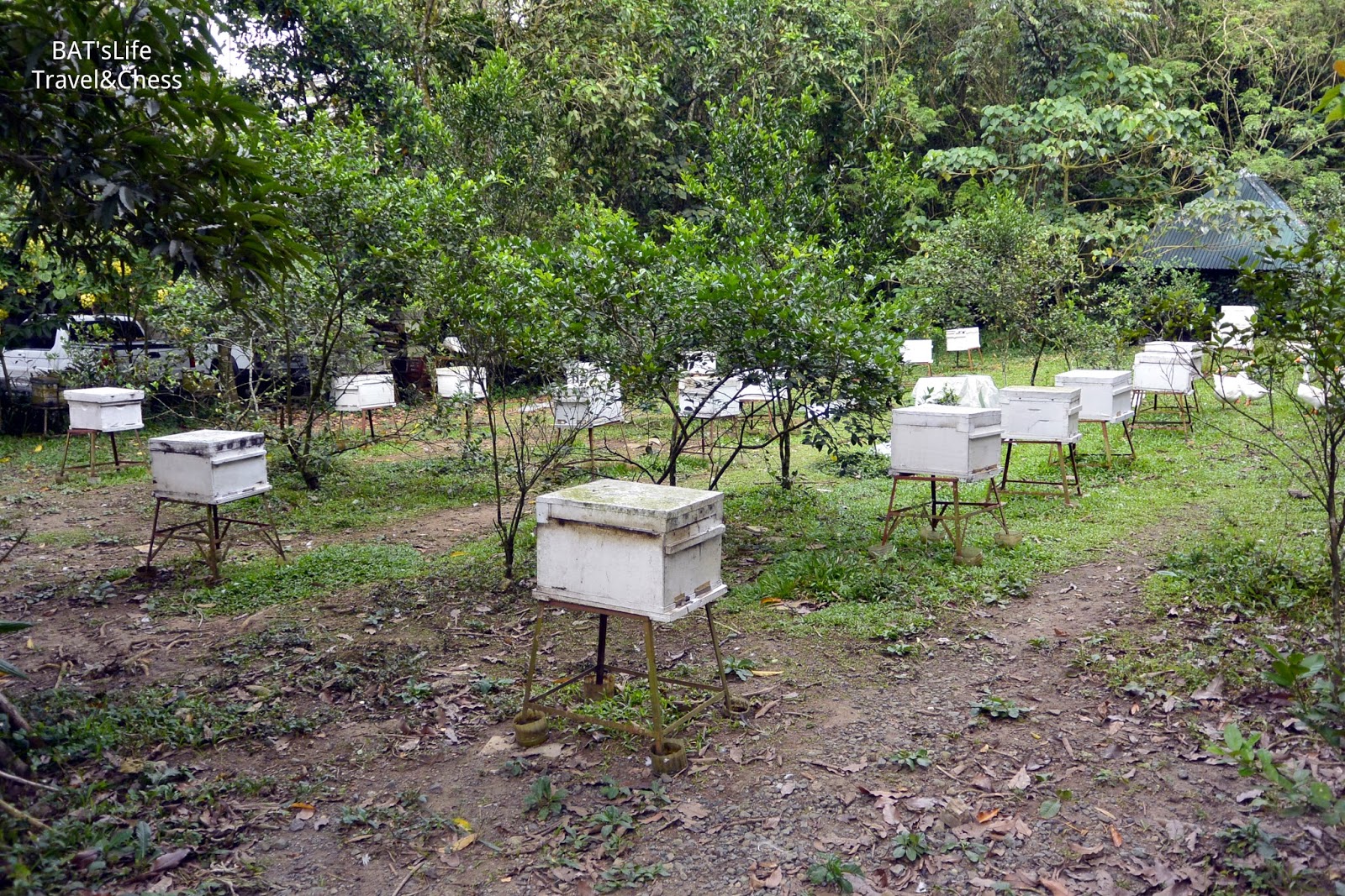 Ilog Maria Honeybee Farm (Silang, Cavite)