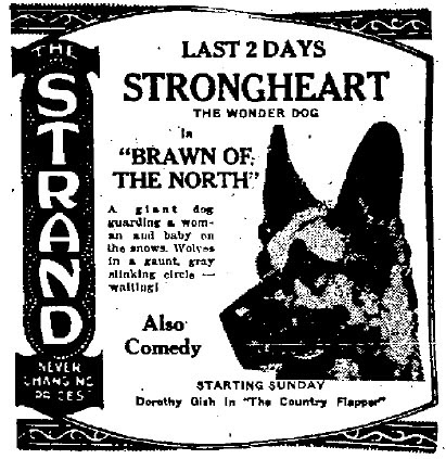 Grandma Slump: Strongheart Dog Food Through History