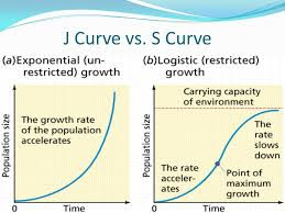 Giovanca Setyadharma: Kurva J, Kurva S dan Carrying Capacity