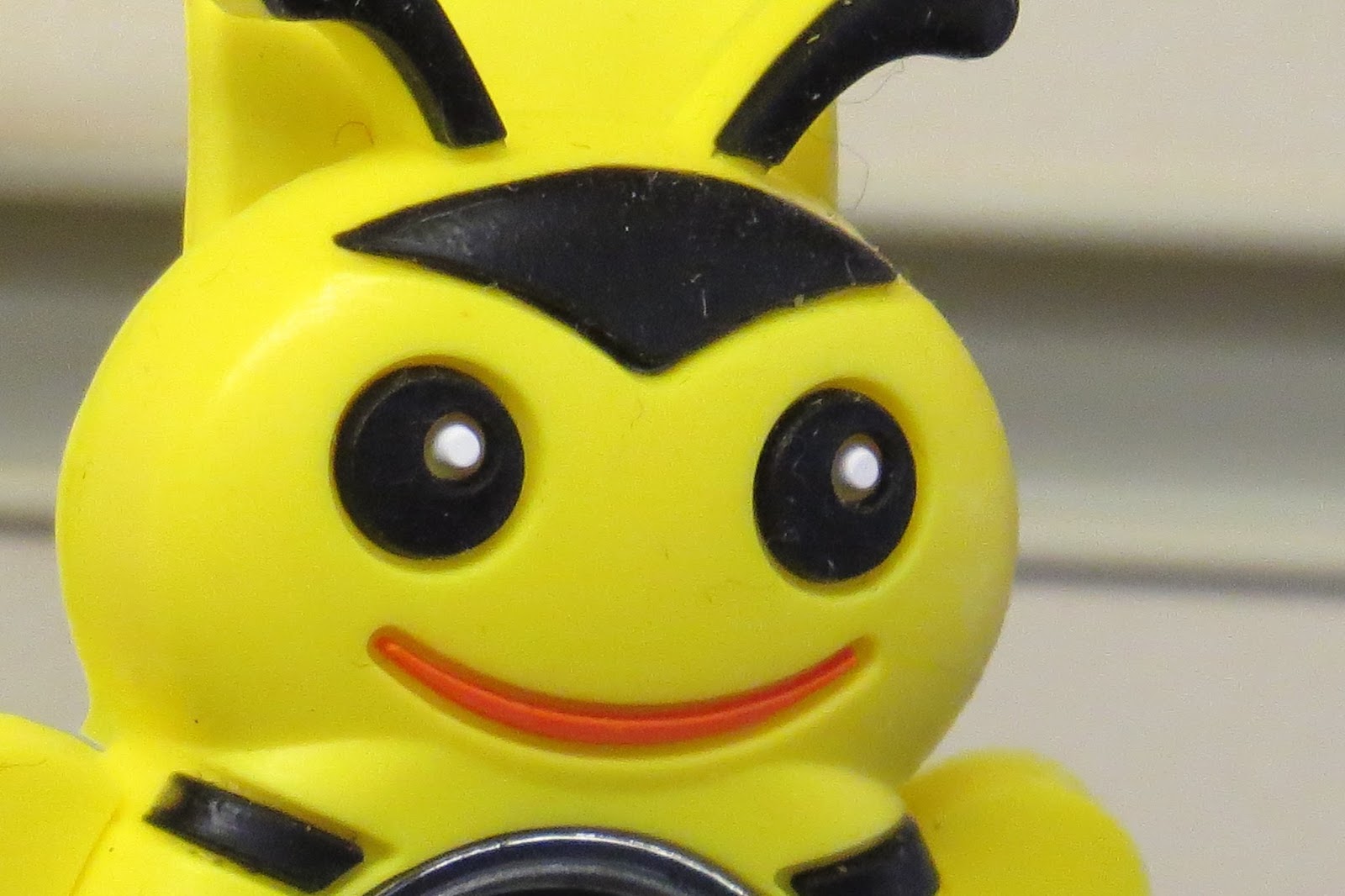 Ragged Robin's Nature Notes: A Bee Talk and Walk led by Steven Falk at ...