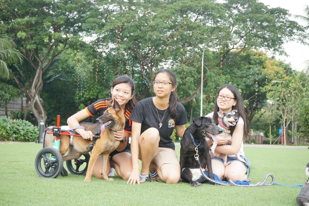 HOPE Dog Rescue: Matthieu’s and Harper’s Very First Sentosa Outing