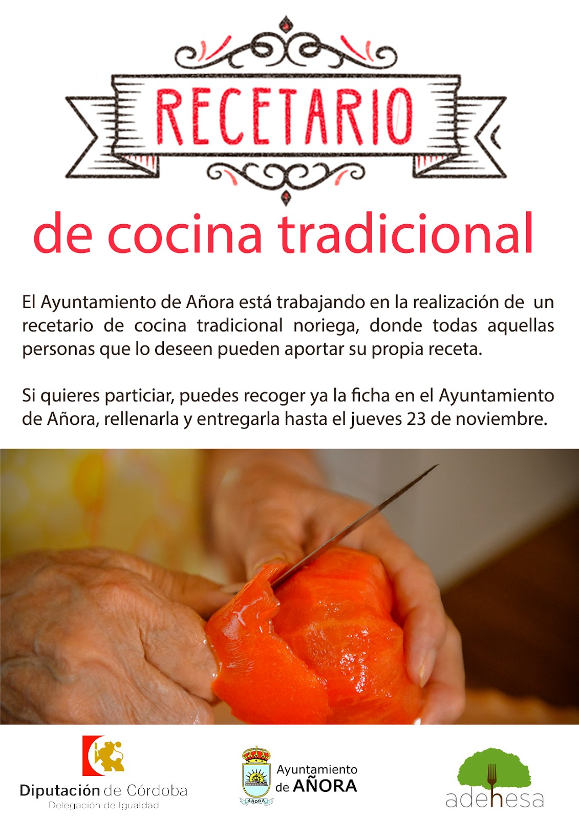 Añora Directo: Elaboración de un recetario de cocina tradicional