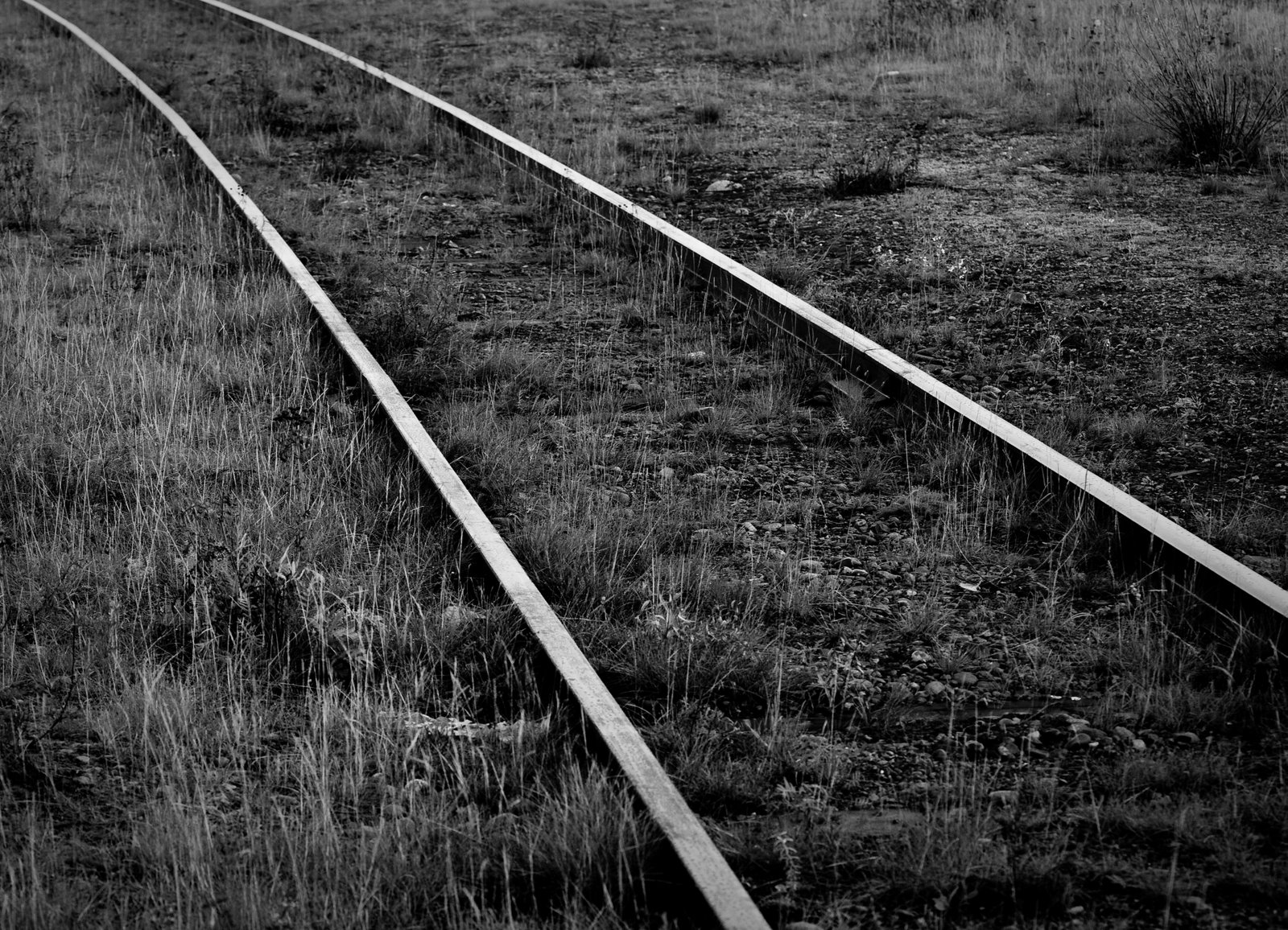 Kent Hansson: Bilder med diagonal komposition