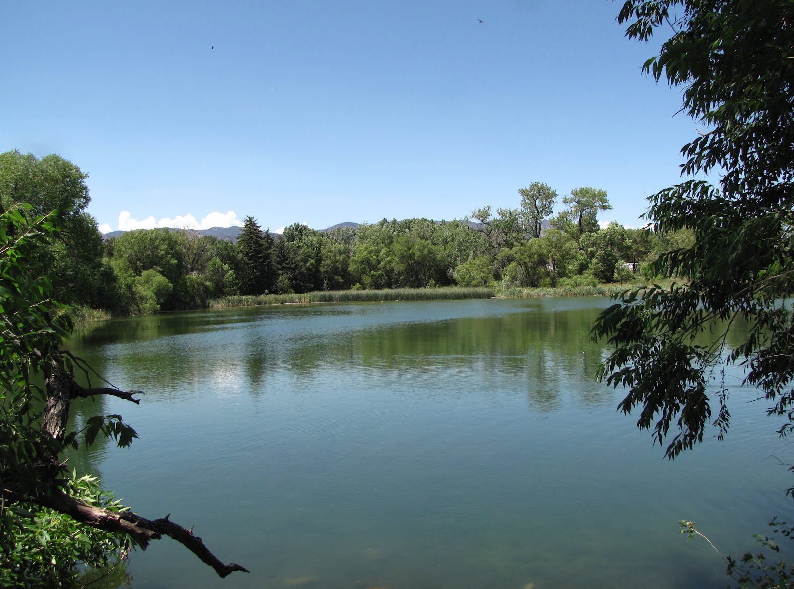 Sense of Misplaced: Sinton Pond Open Space