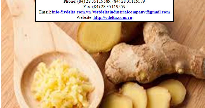 Ginger Suppliers: Fresh Ginger