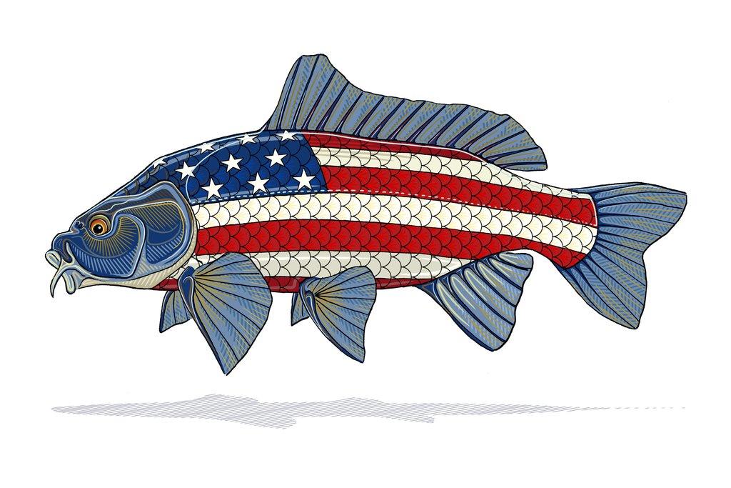 The Fiberglass Manifesto: USA CARP