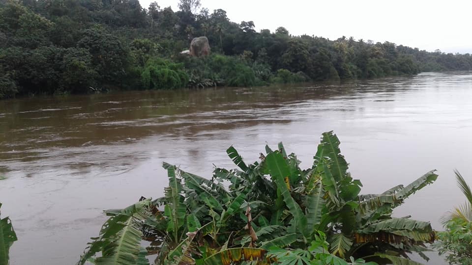 Heavy Rain - Pamba River Overflows in Vadasserikkara, Ranni [Pictures]