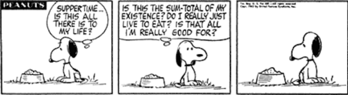 Serial Bus: If you read only the first three panels of a Peanuts comic ...