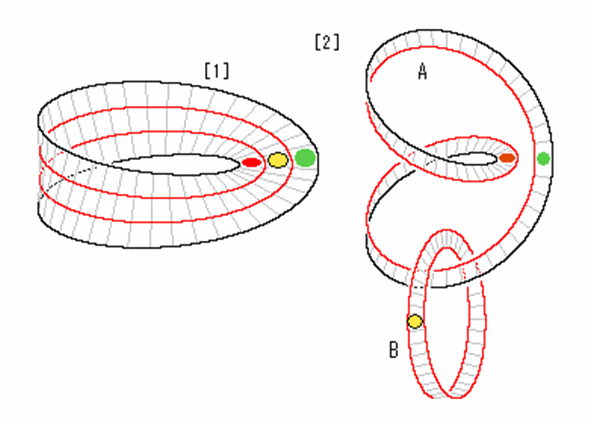 Zibaldone Scientifico: 134. Moebius