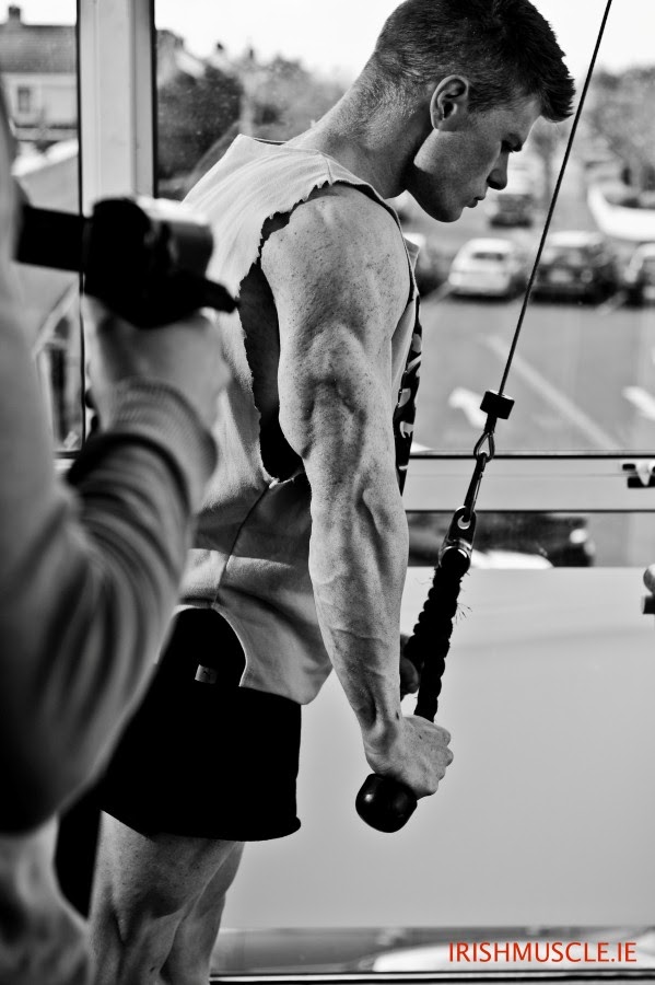 the beauty of male muscle: Aaron