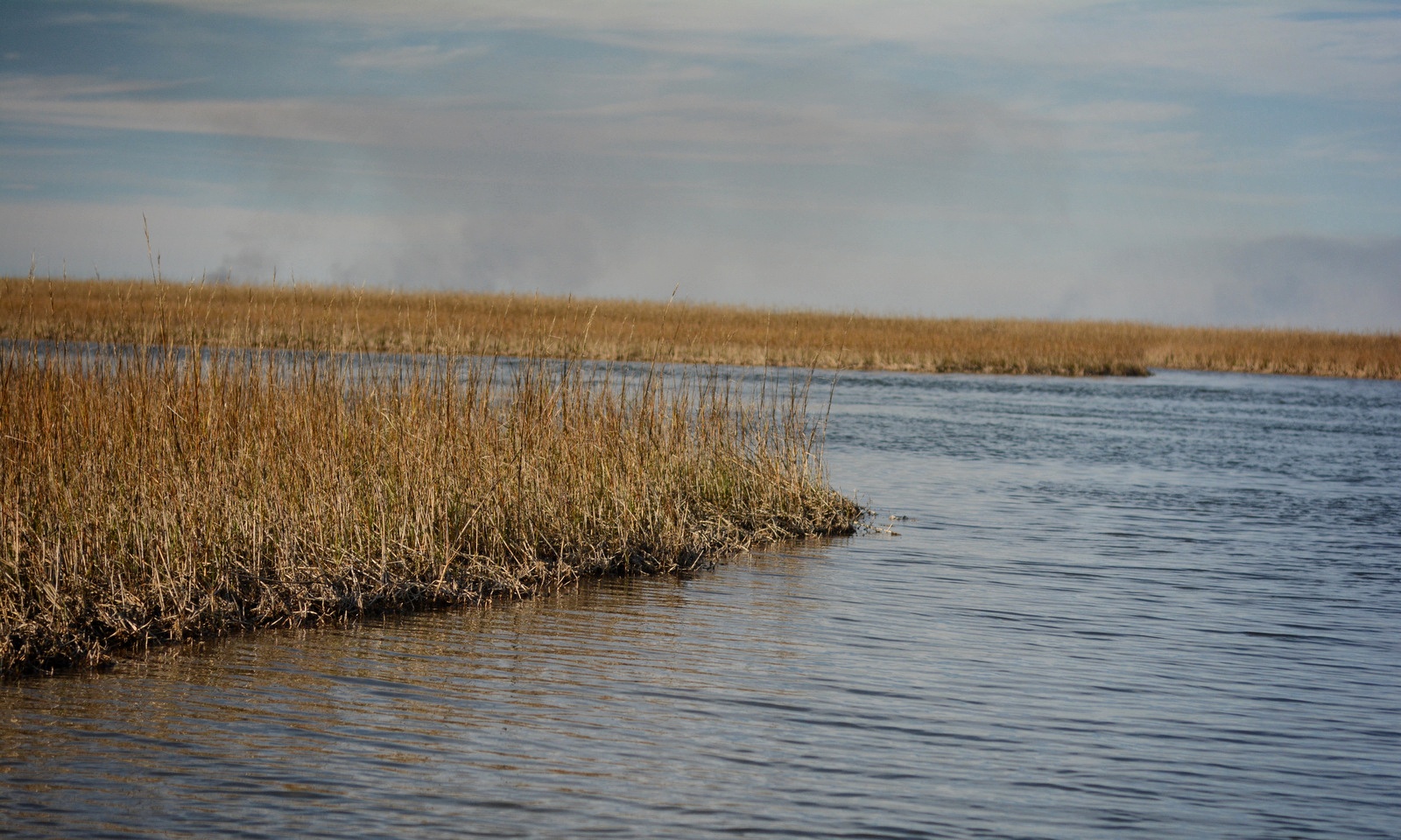 The Fiberglass Manifesto: Scenes From The Louisiana Marsh - Un