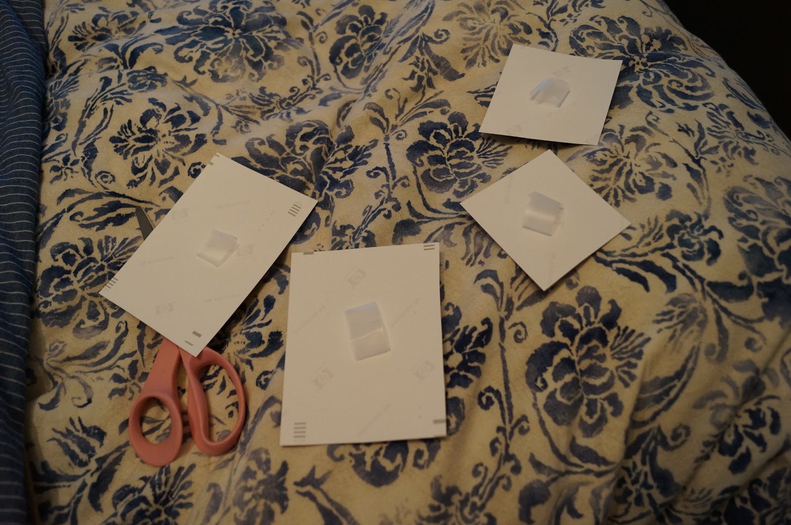 Iridescent Adolescent