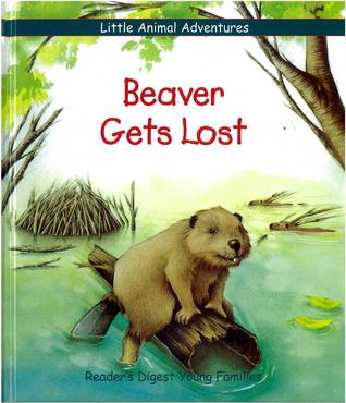 MY READER'S BLOCK: Beavers! A collection of books