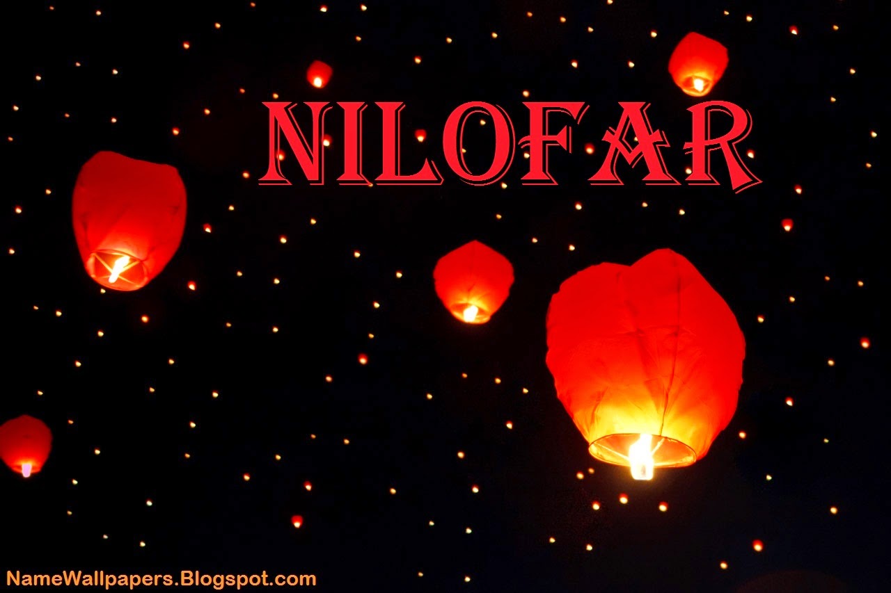 Nilofar Name Wallpapers Nilofar ~ Name Wallpaper Urdu Name Meaning Name Images Logo Signature