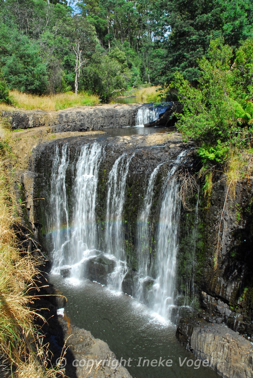 Australian waterfalls: Guide Falls - Tasmania