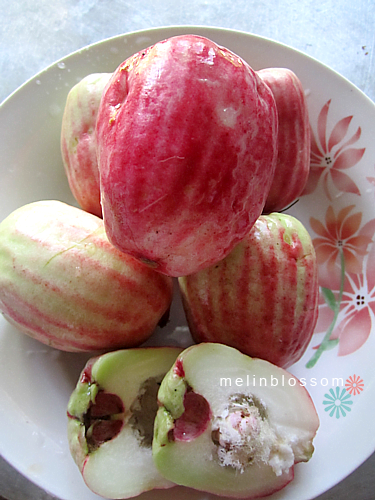 Melinblossom: Jambu Keling!