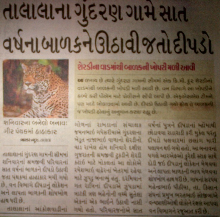 Latest News on Asiatic Lion: 7 year old boy picked up by a leopard at ...