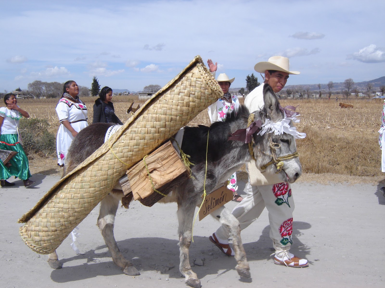 danza de arrieros: ARRIEROS SOMOS... Un poco de historia sobre la ...