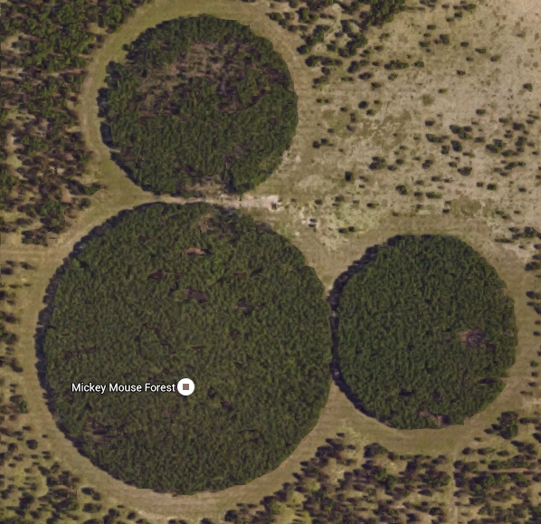 Growing Up Disney: BIG Hidden Mickey