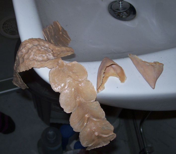 The Lone Animator: Cardassian Latex Mask Pieces