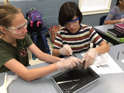 Grace Christian Academy: 7th Grade Dissection