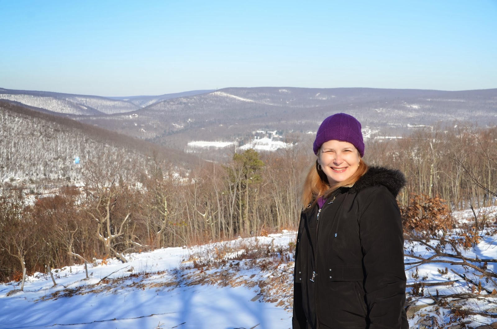 A Journey into the Past: January 2014