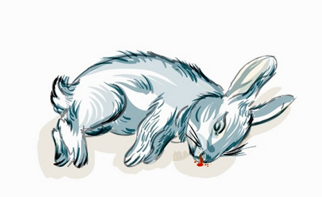 Carcajadia: El conejo muerto