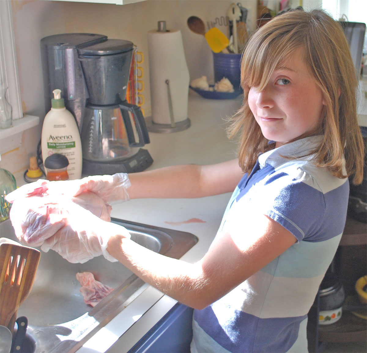 Lily's Chicken Mummy Project: Let's Make a Mummy!