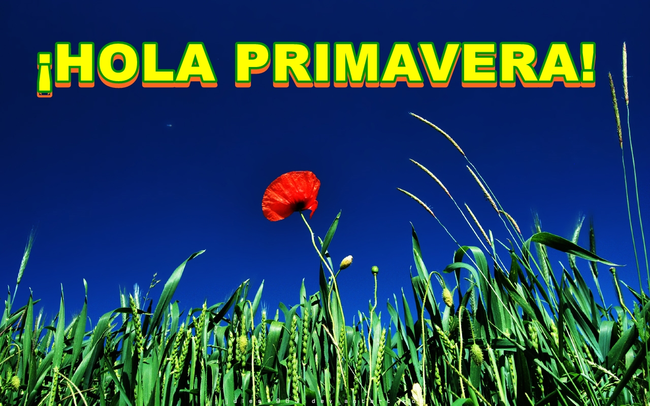 INFOMETEOLOSBARRIOS: CURIOSIDADES DE LA PRIMAVERA EN LOS BARRIOS