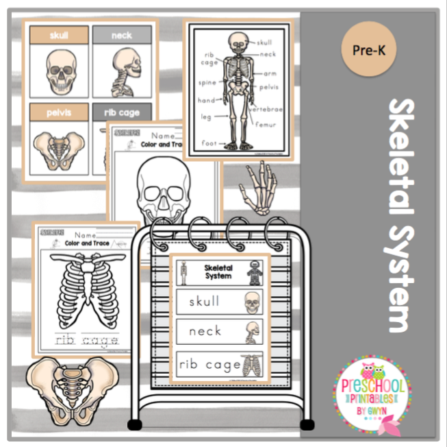 Skeletal System ~ Preschool Printables