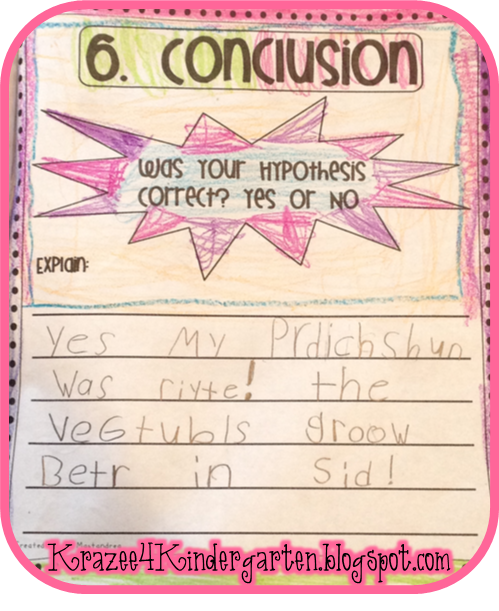 Krazee 4 Kindergarten: Plant Reports- Sprouting Seeds in a Glove!