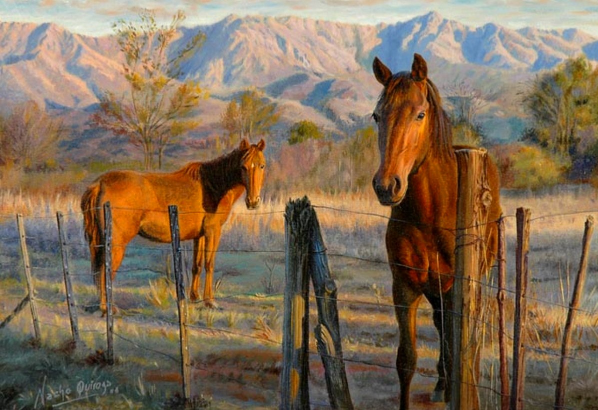 Pintura Moderna y Fotografía Artística : CUADROS DE CABALLOS