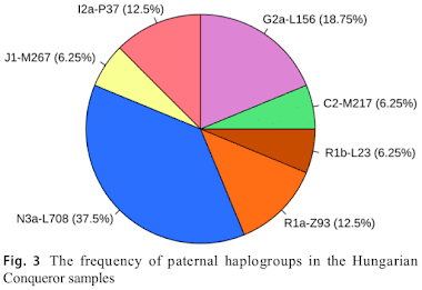 Eurogenes Blog: Hungarian Conquerors were rich in Y-haplogroup N (Fóthi ...
