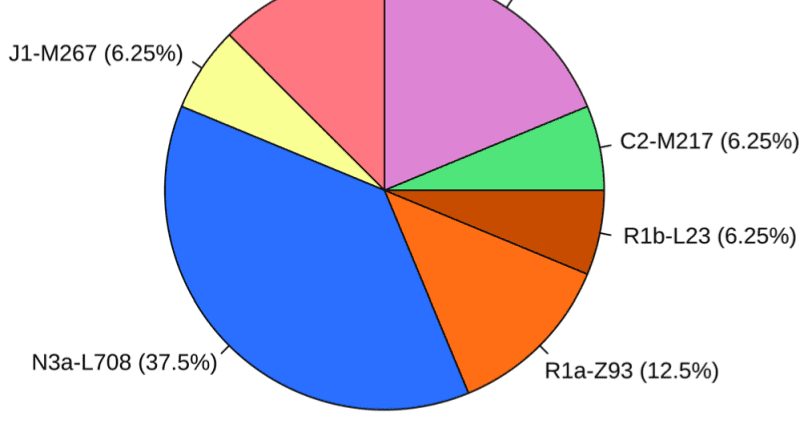 Eurogenes Blog: Hungarian Conquerors were rich in Y-haplogroup N (Fóthi ...