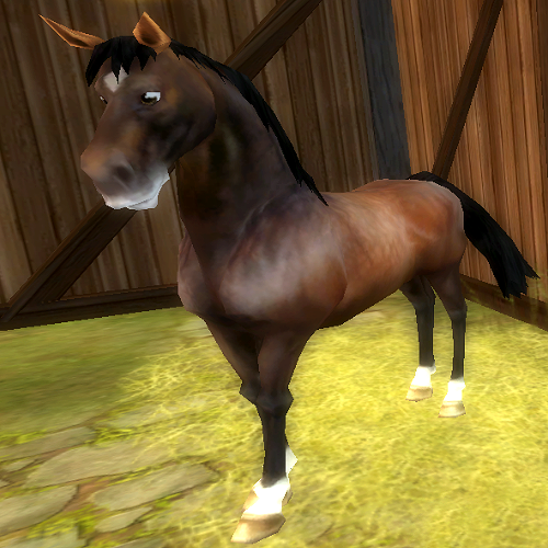 Star Stable Daily : Horse Breeds