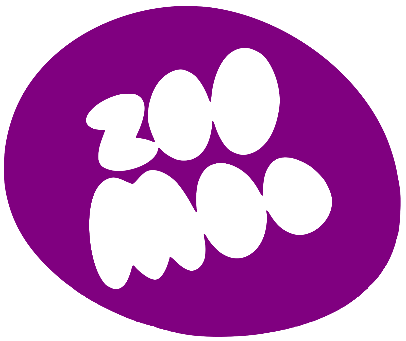 El canal ZOOMOO invita a los niños a salir en televisión ~ SpanglishReview