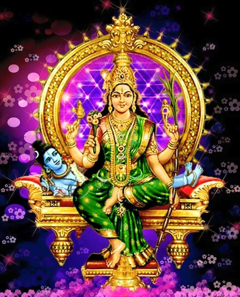 Virat purusha Upasana and Vyahruthi pranayama system: January 2016