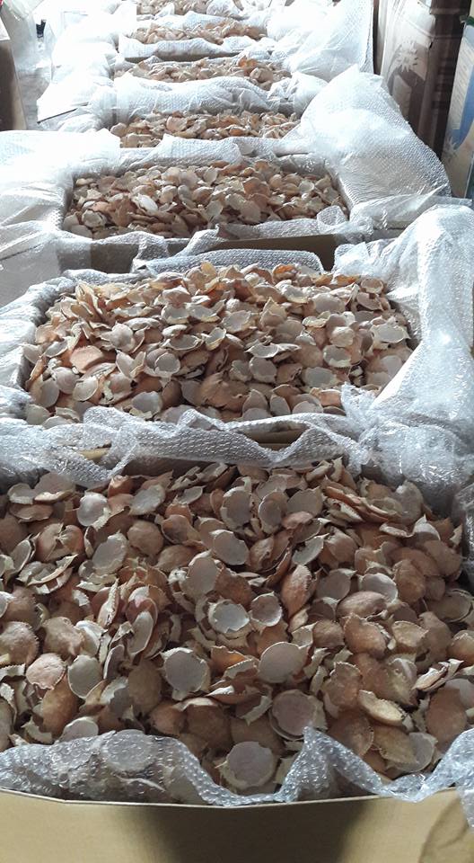 Dried Crab Shells Sellers