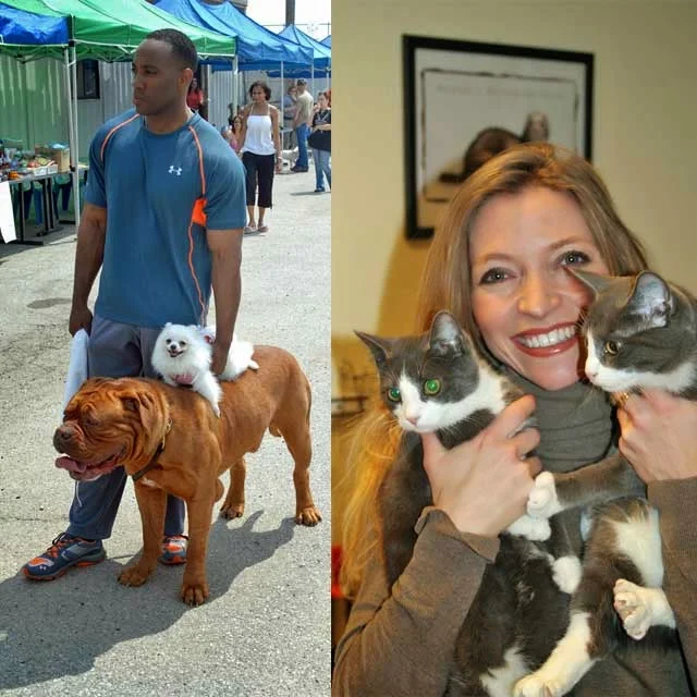 Cat Chit Chat: Differences Between Cat And Dog People