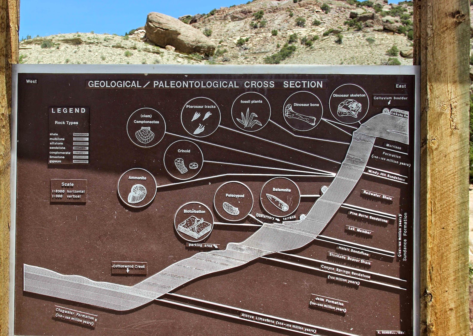 In the Company of Plants and Rocks: Hunting Pterosaurs by the Sundance Sea