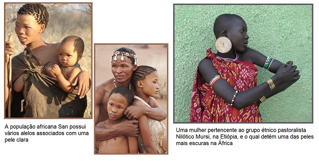 Existem raças humanas? - Saber Atualizado