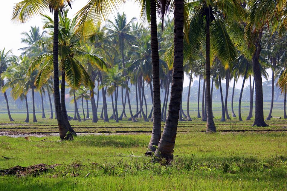Tourist center Mandya, Karnataka - aalmaramspot
