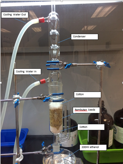 Bio-Diesel Extraction from Rambutan Seeds: SOXHLET YOOOO