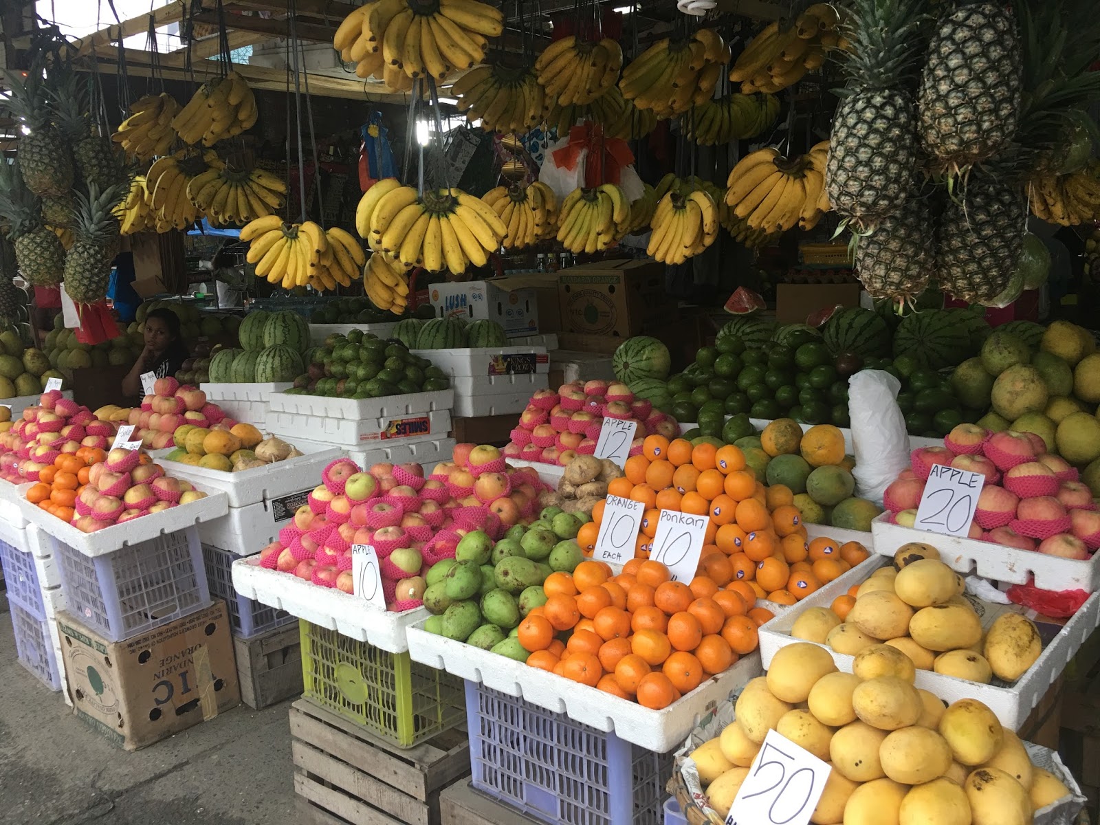 15 Things To Do in Davao City for First-Time Tourists (Like Me!)