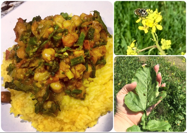 The Foraged Foodie: Foraging Recipe: Bastard Cabbage Chana Masala