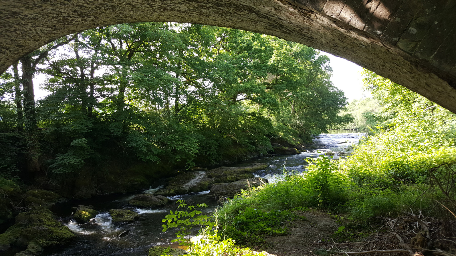The Happy Pontist: Welsh Bridges: 12. Dolauhirion Bridge