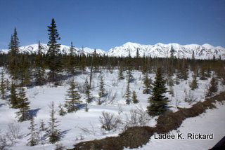 Ladee's Travels: Alaska - Summit of the Continental Divide